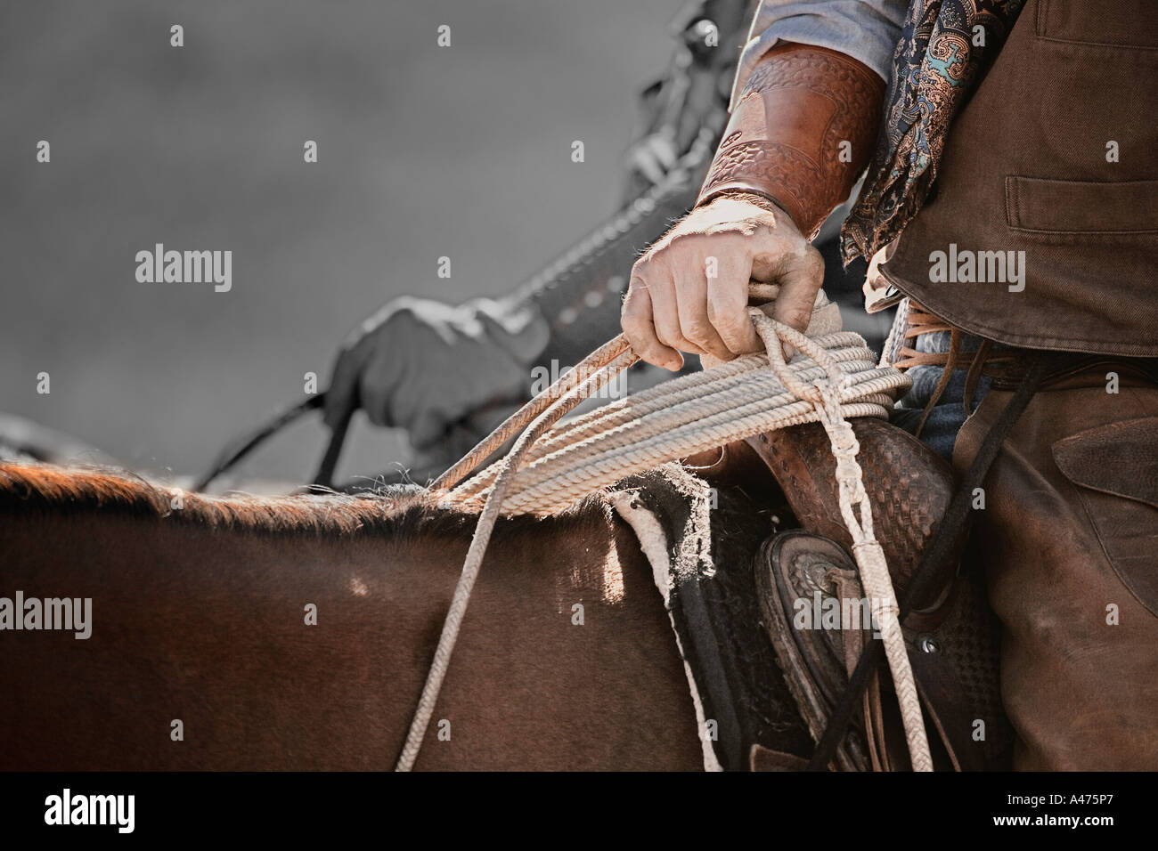 Cowboy With Lasso High Resolution Stock Photography and Images - Alamy