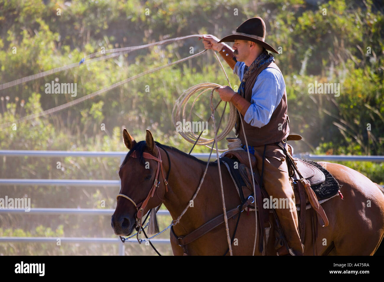 Cowboy with lasso Stock Photo - Alamy