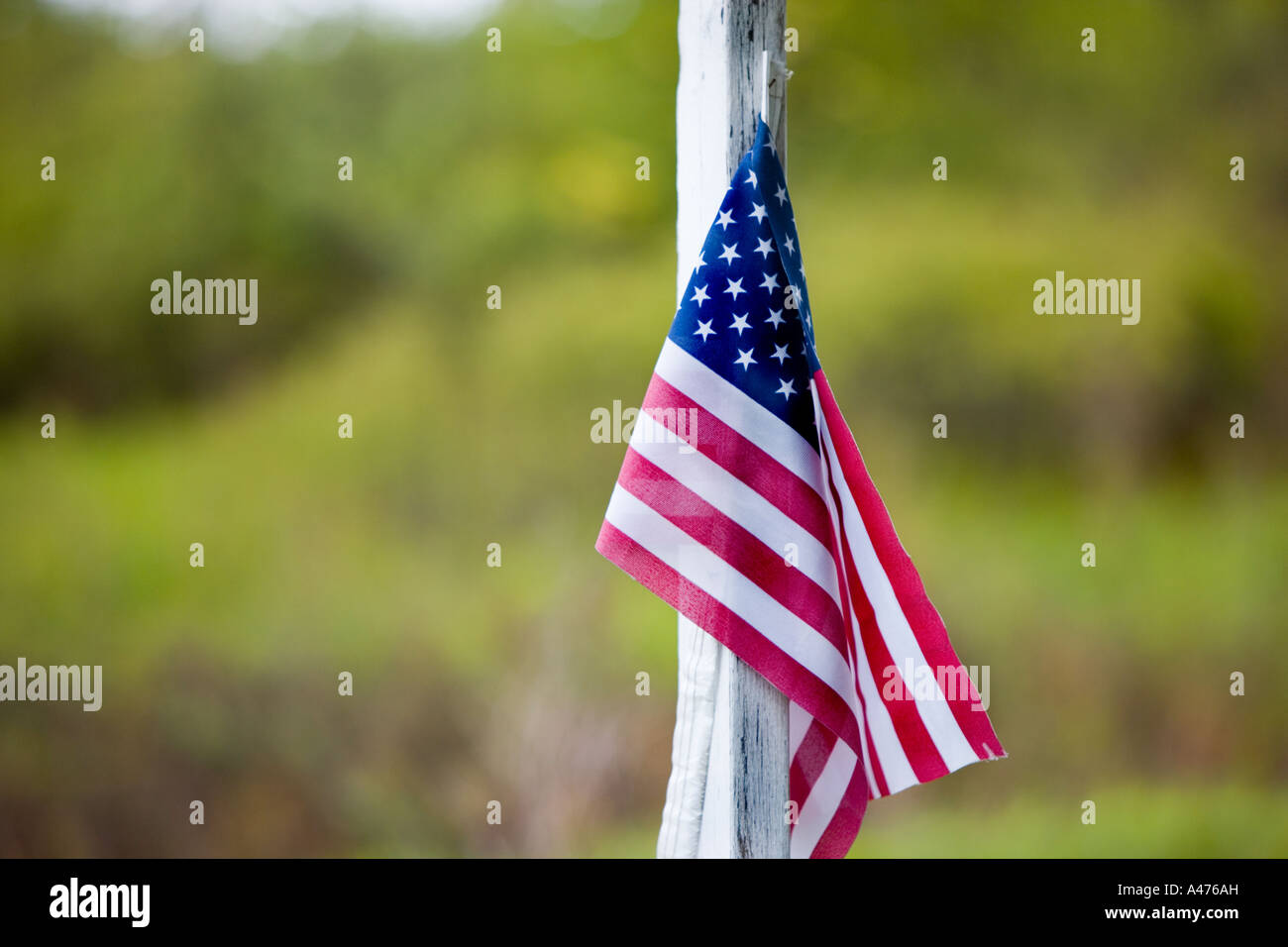 American pledge of allegience hi-res stock photography and images - Alamy