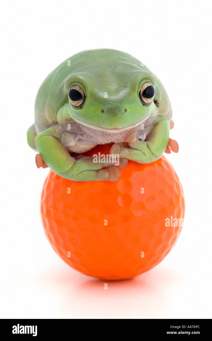 Hoc1926 hi-res stock photography and images - Alamy