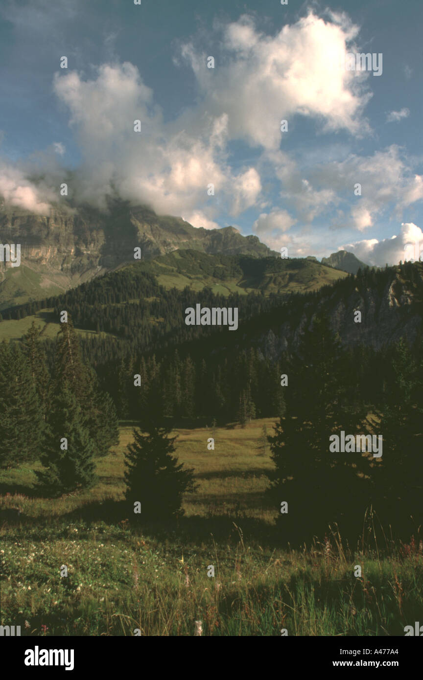 swiss alps in summer Stock Photo - Alamy