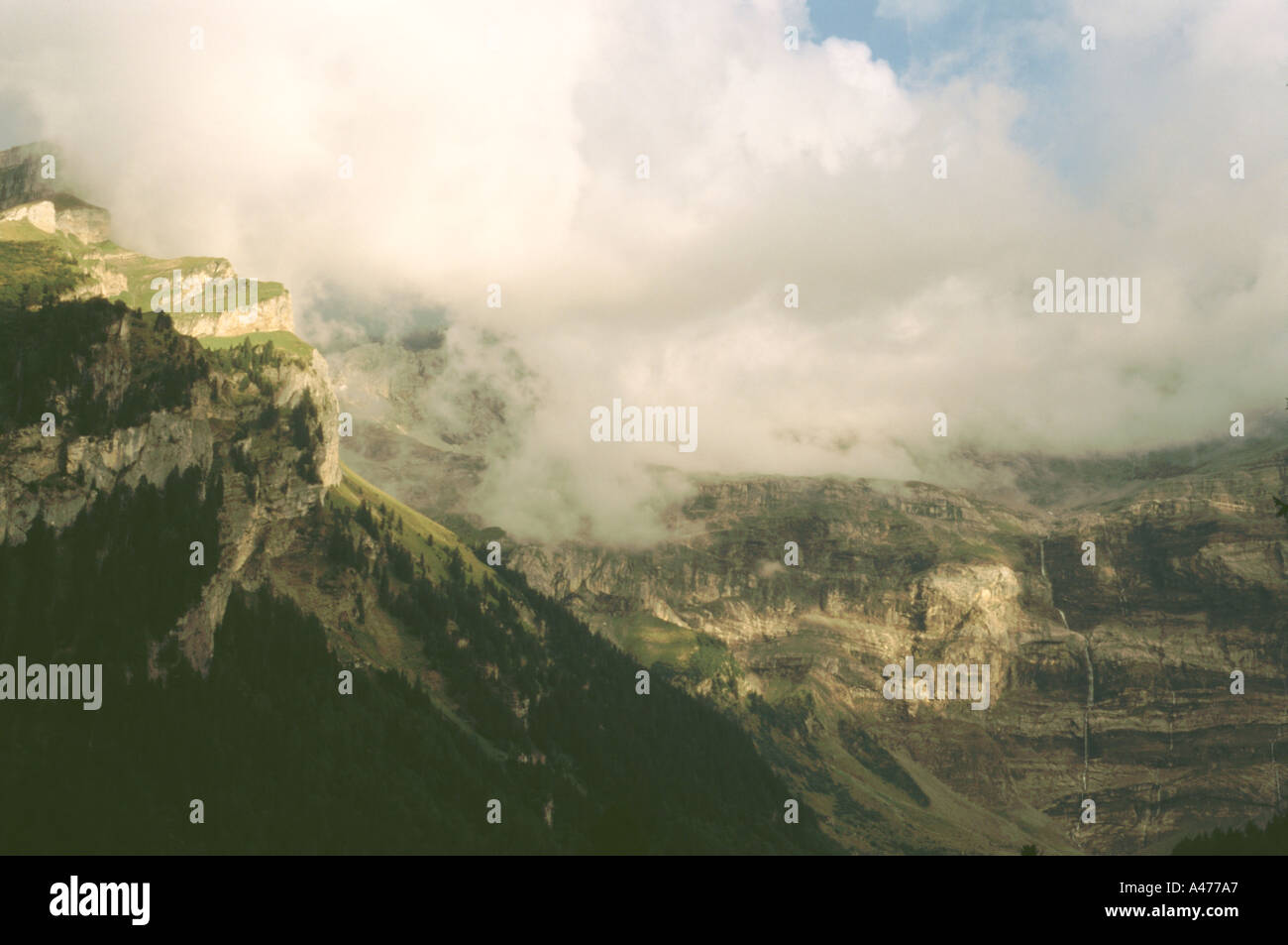 swiss alps in summer Stock Photo - Alamy