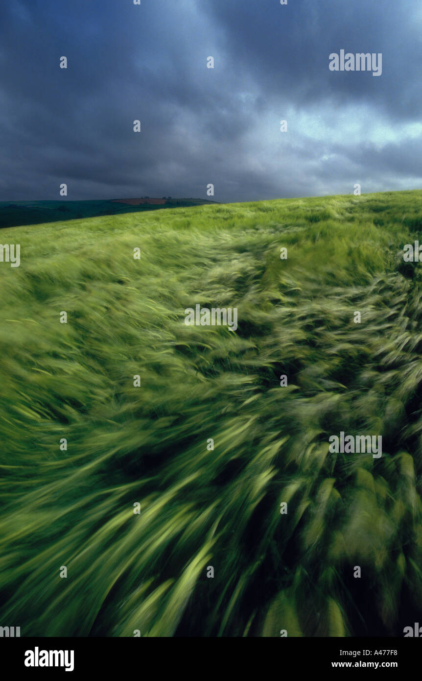 Weather in motion hi-res stock photography and images - Alamy