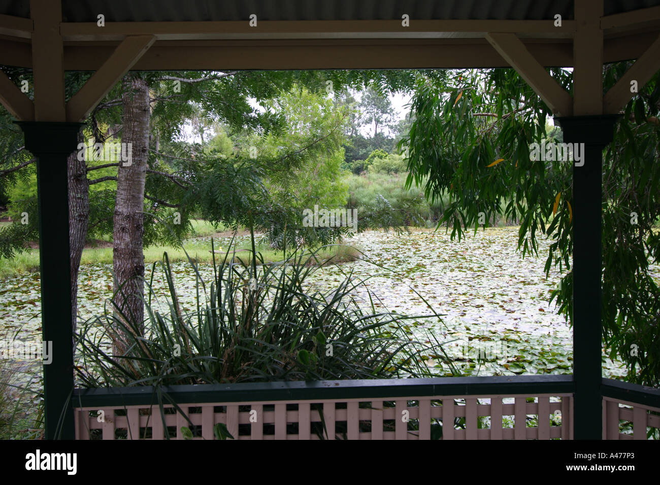 LOOKING OUT ON A LILYPOND FROM A TIMBER AND LATTICE ROTUNDA/PERGOLA ...