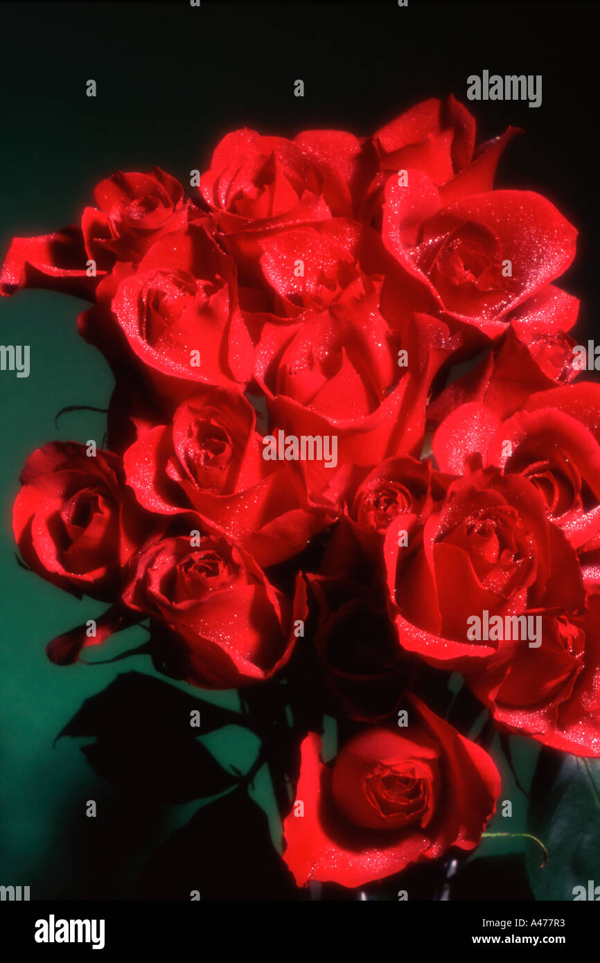 Mar0538 hi-res stock photography and images - Alamy