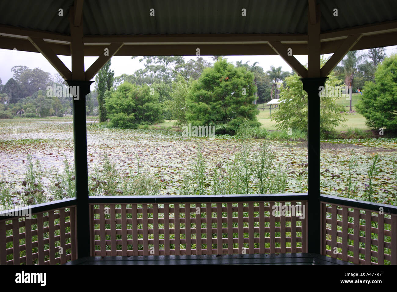 LOOKING OUT ON A LILYPOND FROM A TIMBER AND LATTICE ROTUNDA/PERGOLA ...