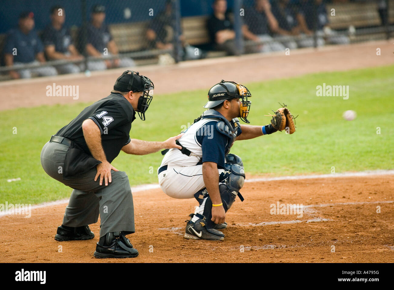 Minor League Baseball Stock Photo - Alamy