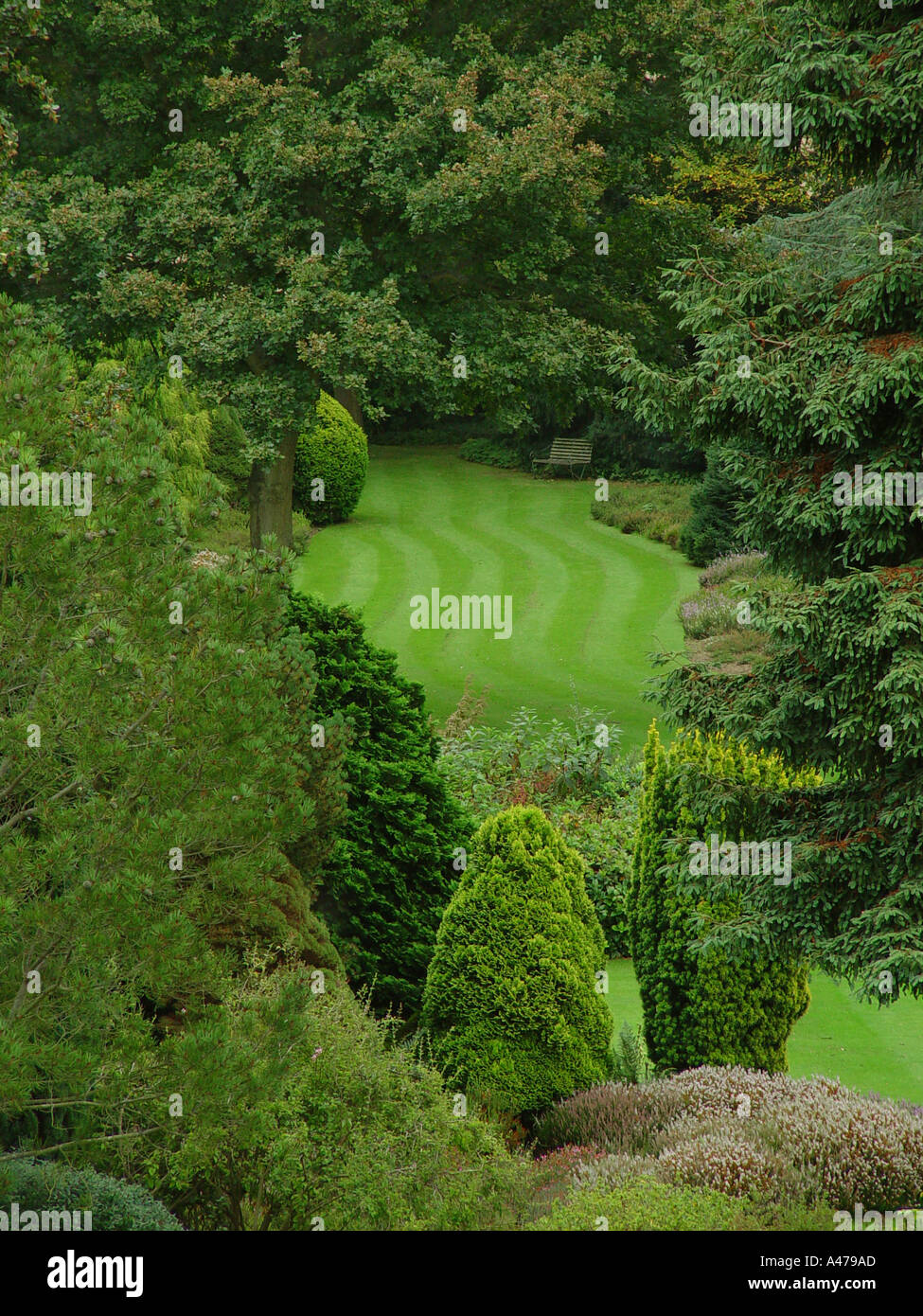 Great comp hi-res stock photography and images - Alamy