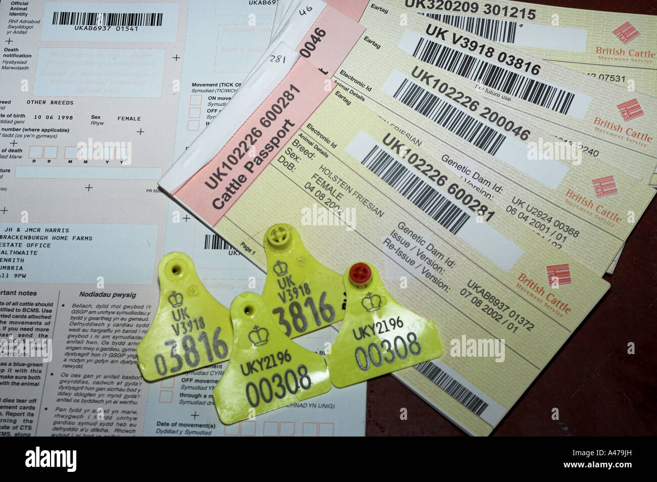 Cow passport hi-res stock photography and images - Alamy