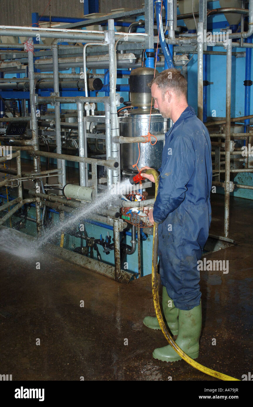 farm worker washing out milking parlour Stock Photo - Alamy