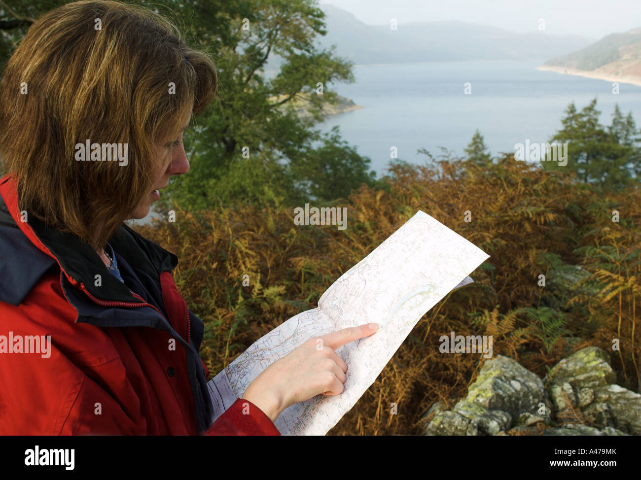 Walker reading map in countryside Stock Photo - Alamy
