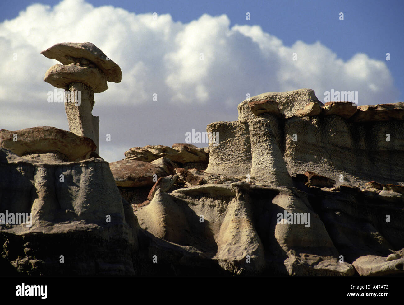 Bisti Navajo for Badlands DE NA Zin Wilderness New Mexico Stock Photo ...