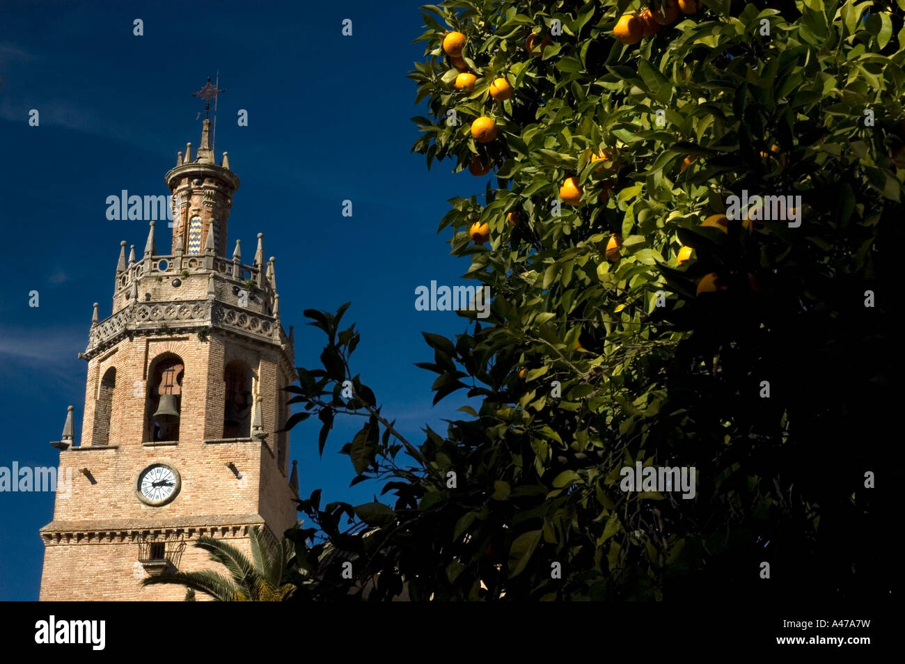 The Seville Orange tree frames a classic Spanish Church in Rhonda ...