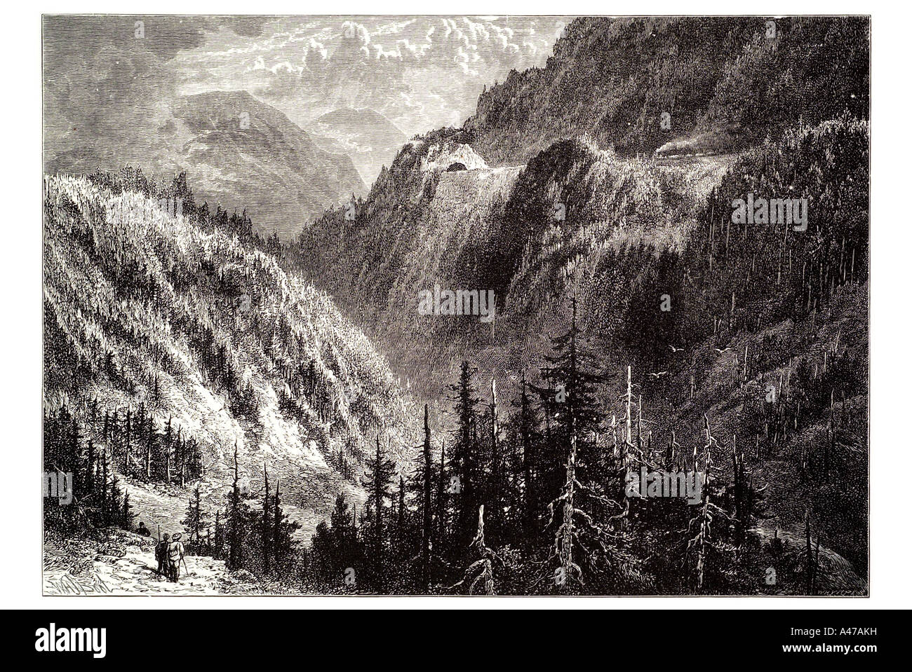 Germany German black forest valley mountain outdoor remote high highest ...