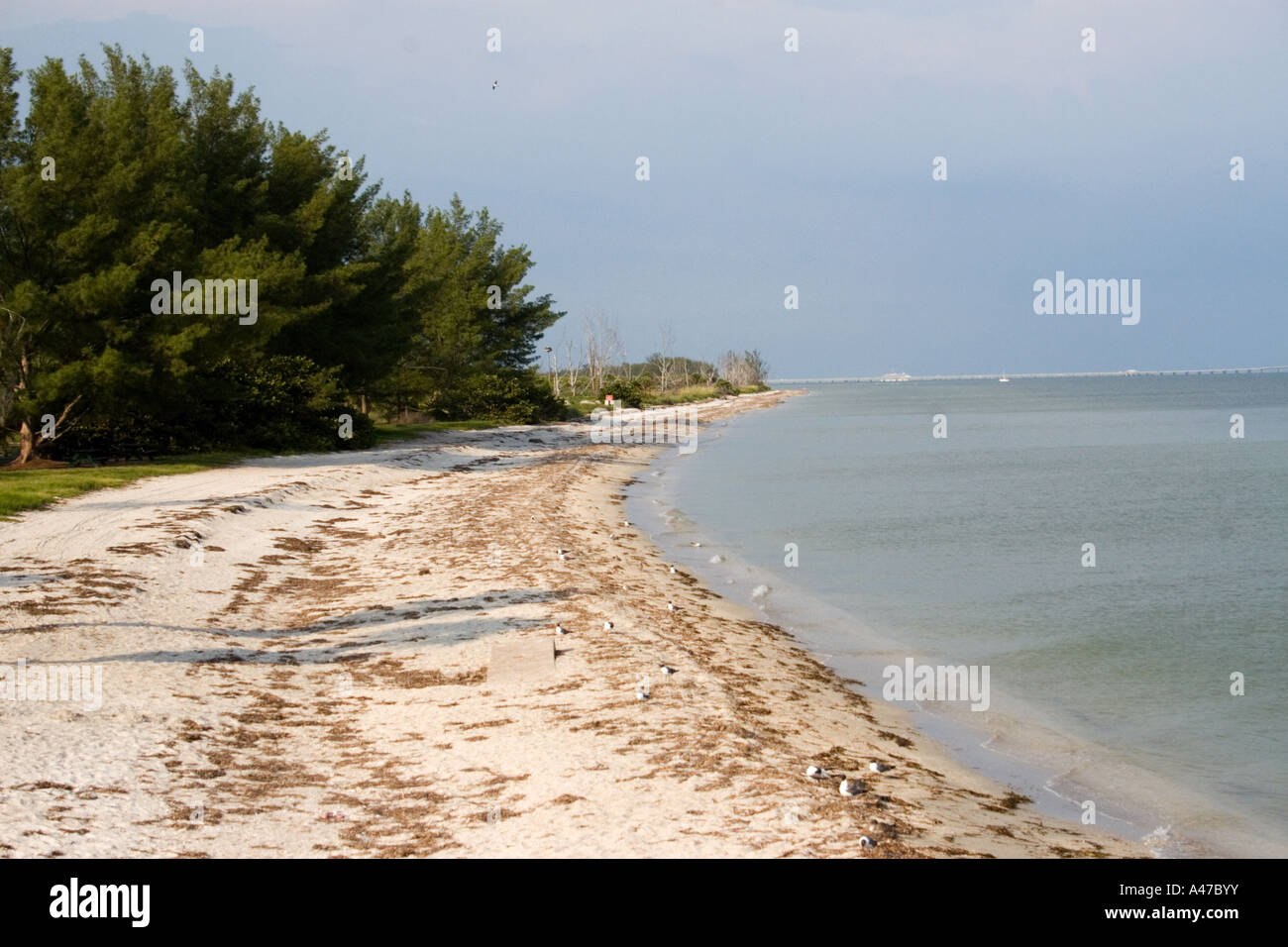 Fort Ft DeSoto Park in Pinellas County Florida Empty Beach Front on ...