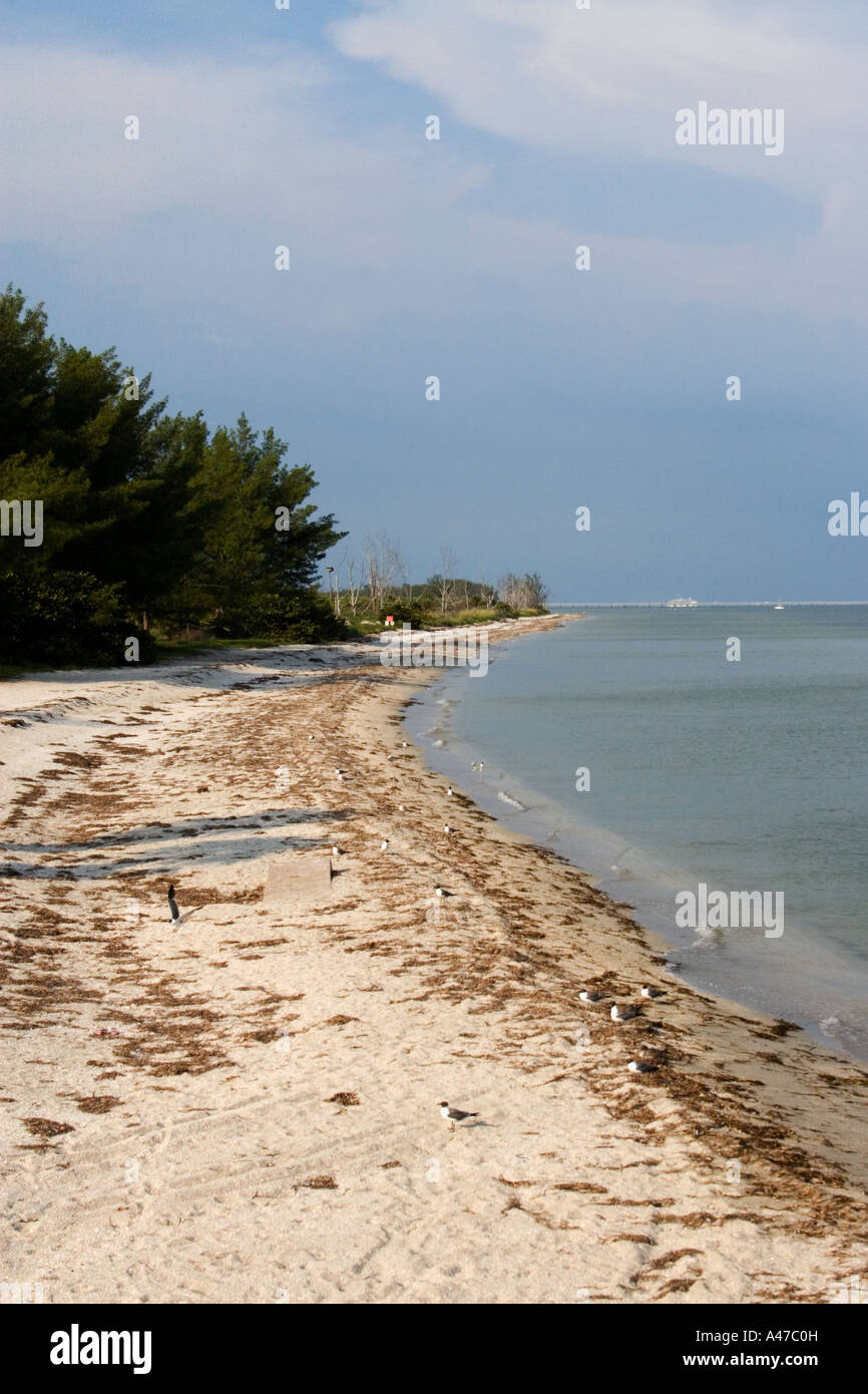 Fort Ft DeSoto Park in Pinellas County Florida Empty Beach Front on ...
