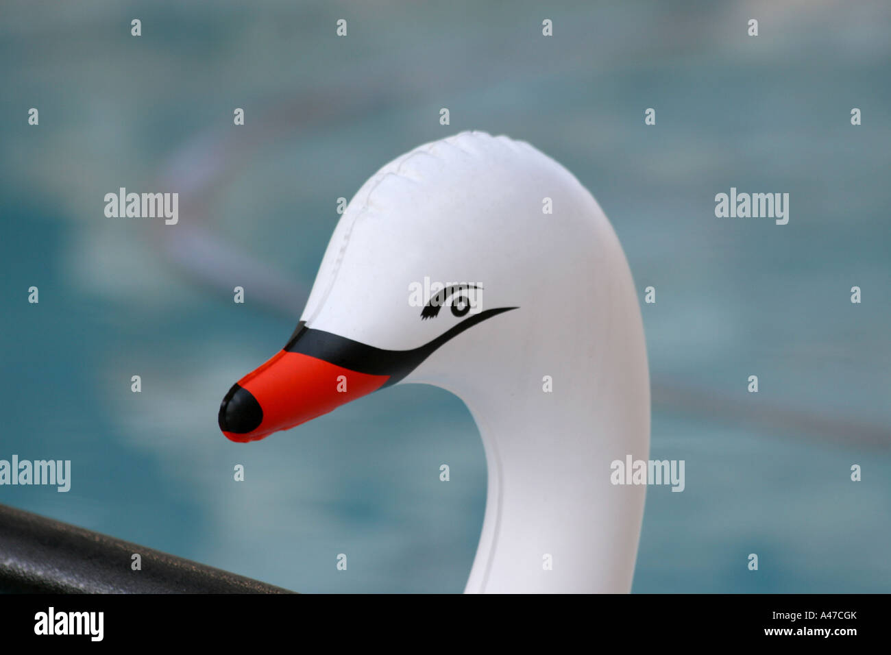 Plastic goose toy hi-res stock photography and images - Alamy