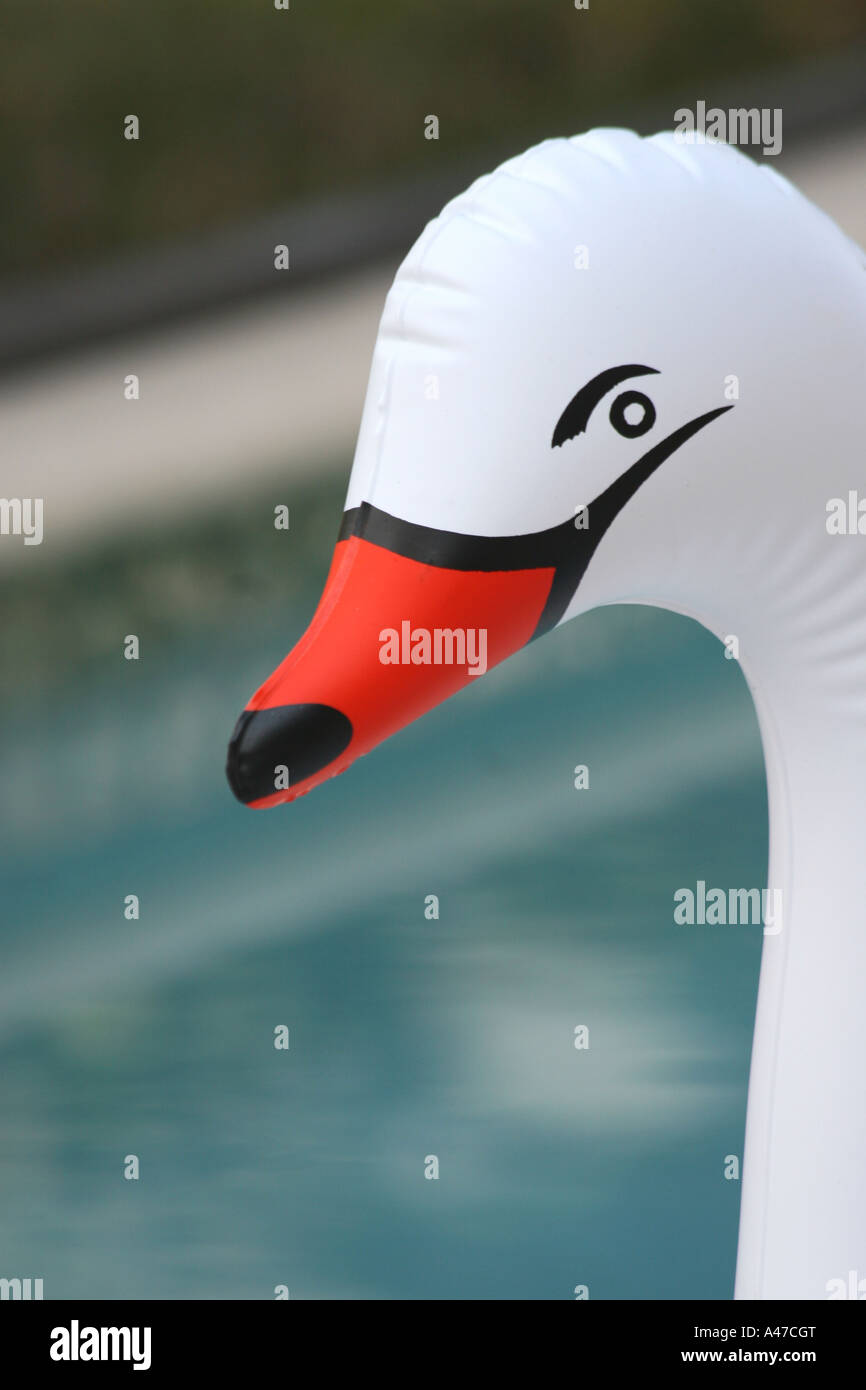 Plastic goose toy hi-res stock photography and images - Alamy