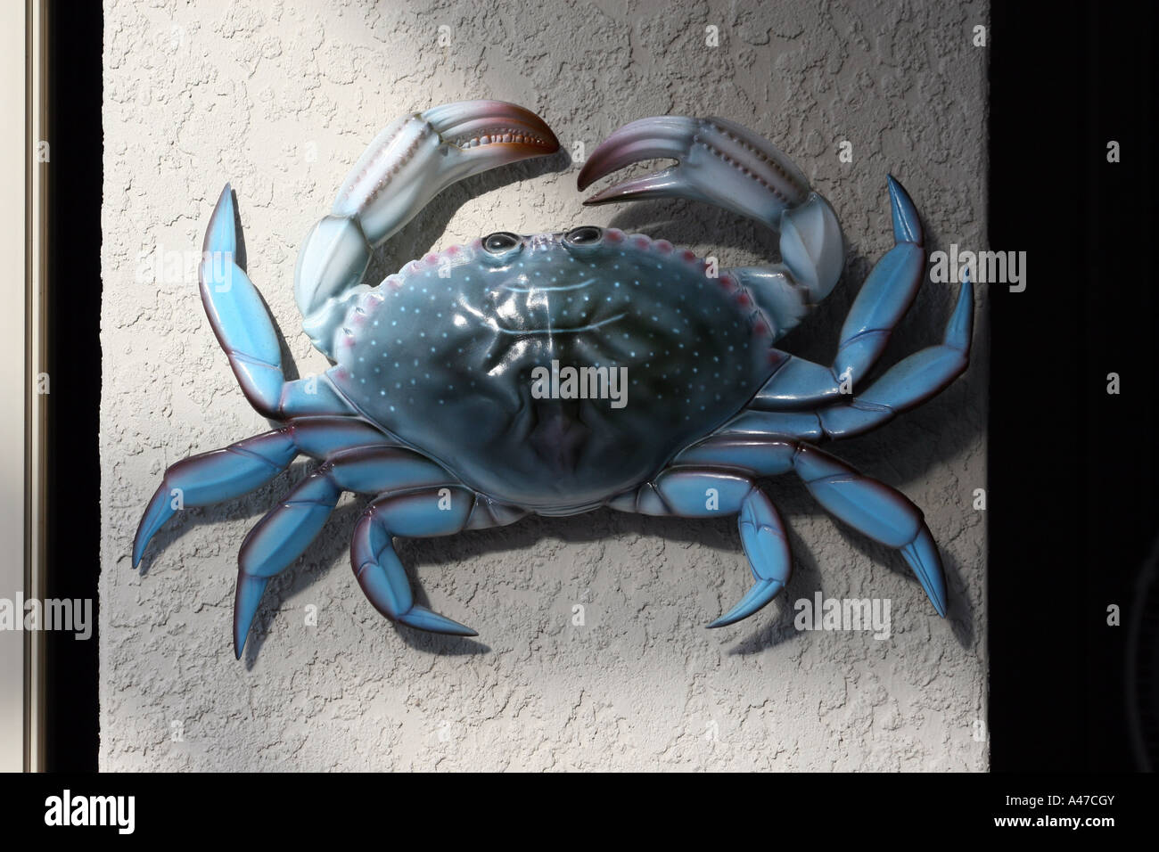 Wall Plaque of a Chesapeake Blue Crab Stock Photo - Alamy