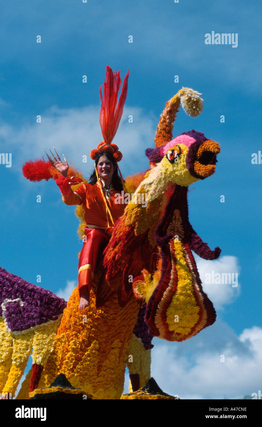 Battle of flowers hi-res stock photography and images - Alamy