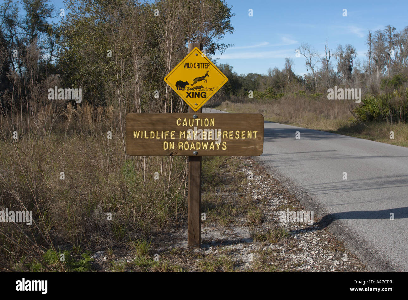 Critter crossing hi-res stock photography and images - Alamy