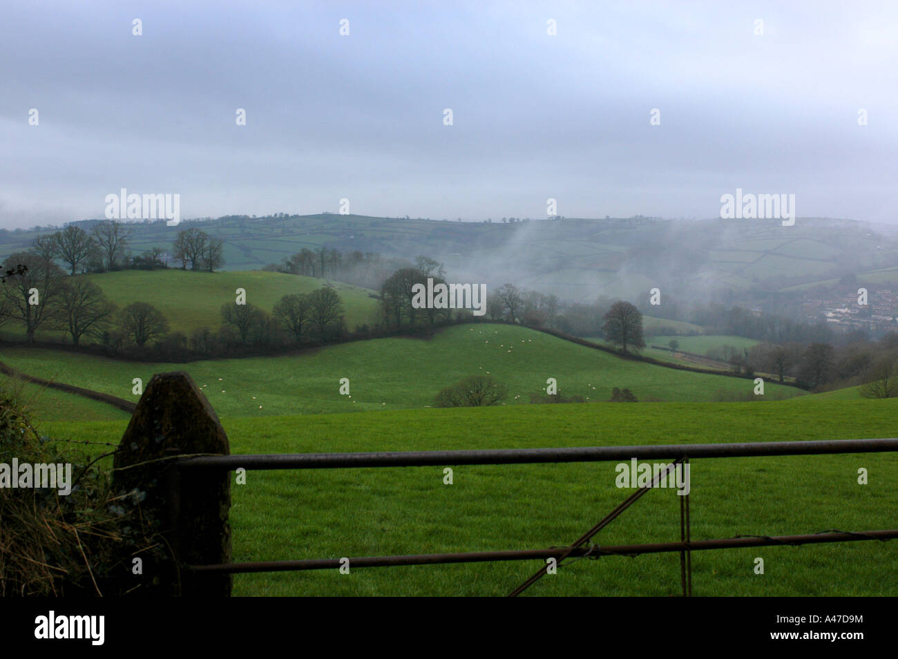 A misty Devon Valley Stock Photo - Alamy