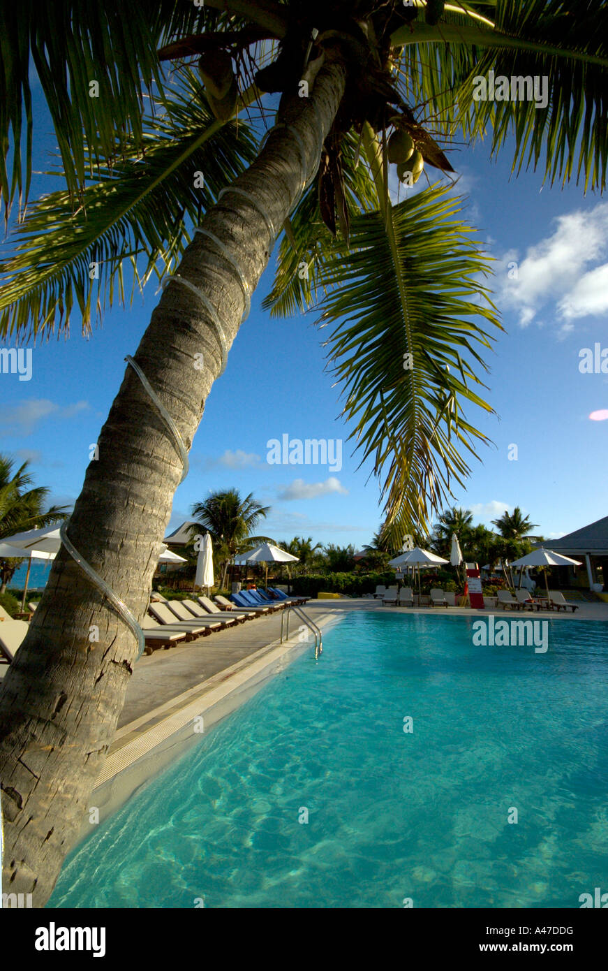 Big pool lounge chairs resort hi-res stock photography and images - Alamy