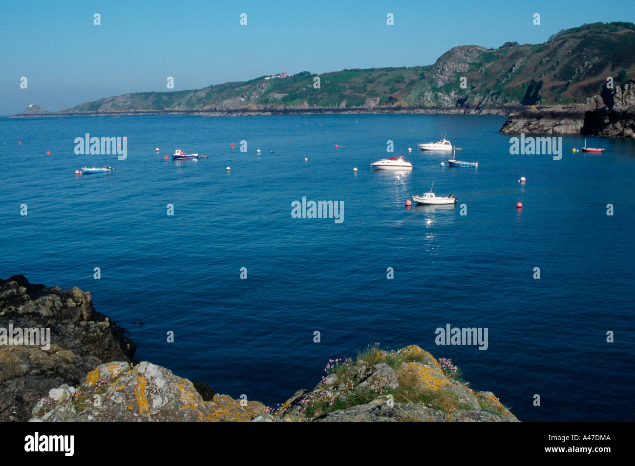 Bouley hi-res stock photography and images - Alamy