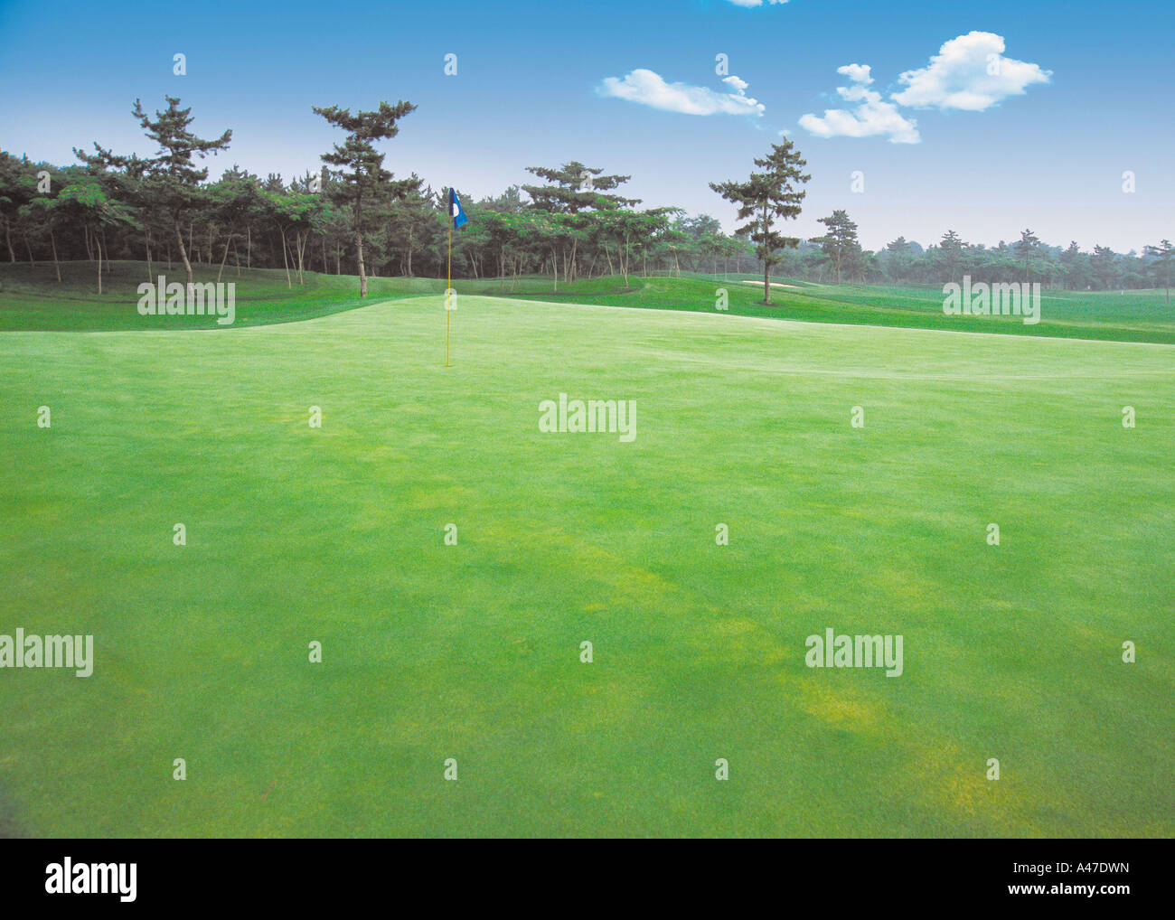 Golf Links and Course Stock Photo - Alamy