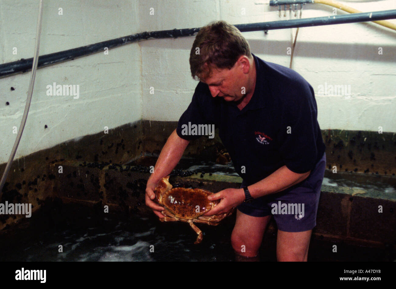 One man crab fishing hi-res stock photography and images - Alamy