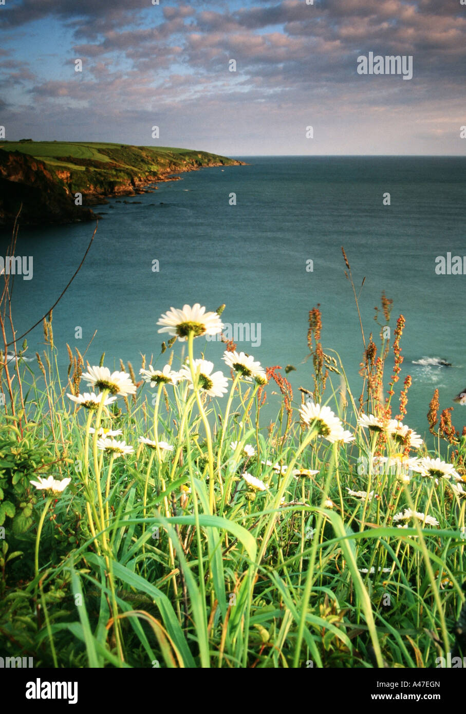 seascape from cliff path, Polkerris, Cornwall, UK Stock Photo - Alamy