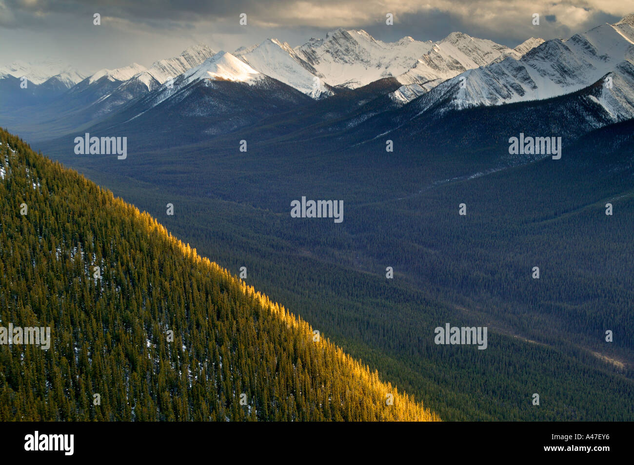 View from the top of the Banff Gondola Banff National Park Alberta ...