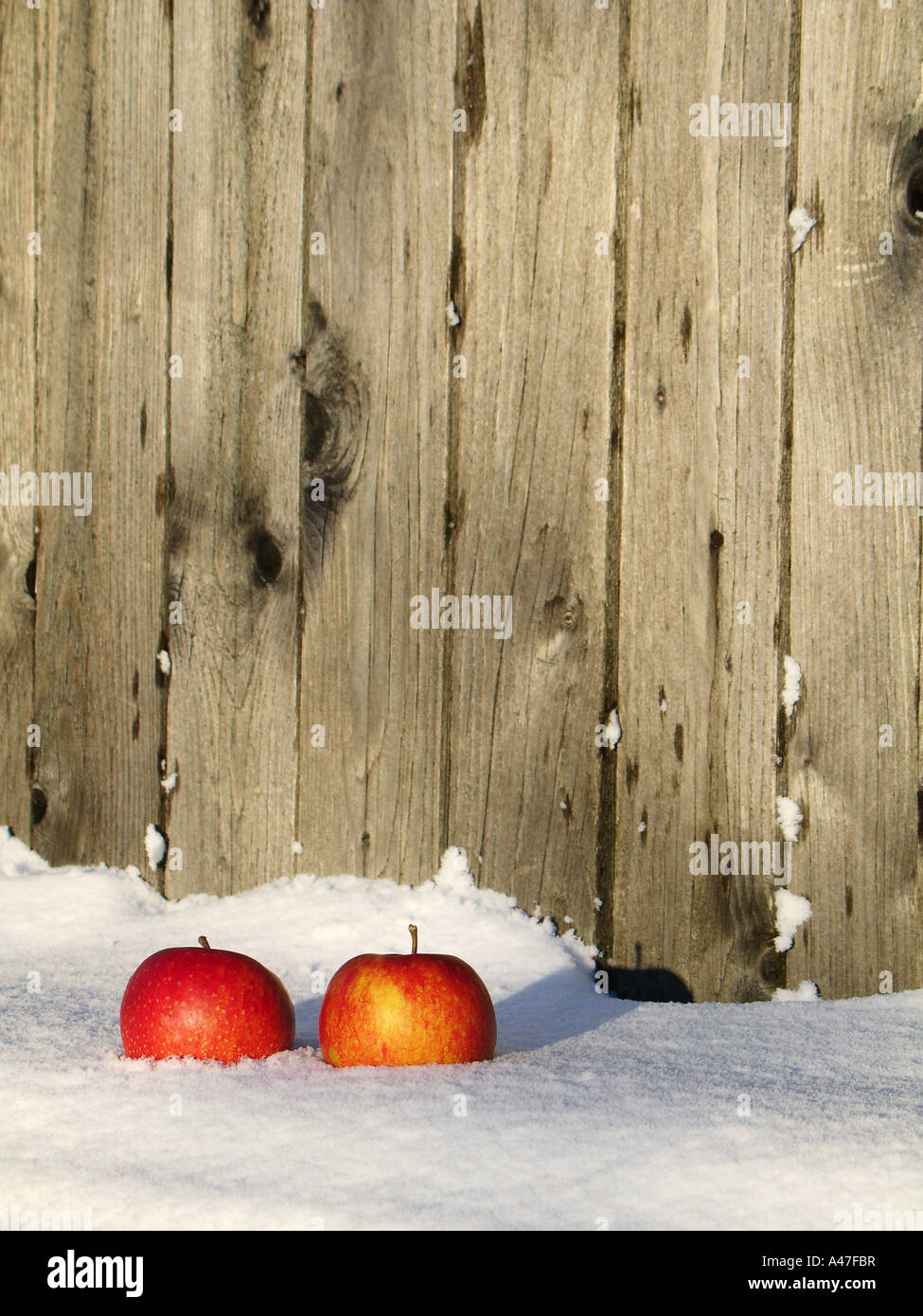 Twins apples hi-res stock photography and images - Alamy