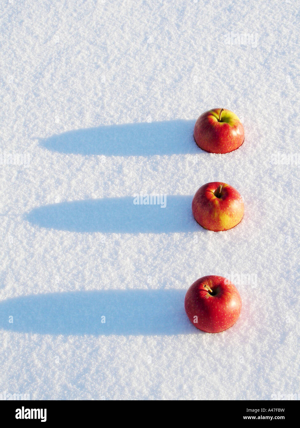 apples in the snow Stock Photo - Alamy
