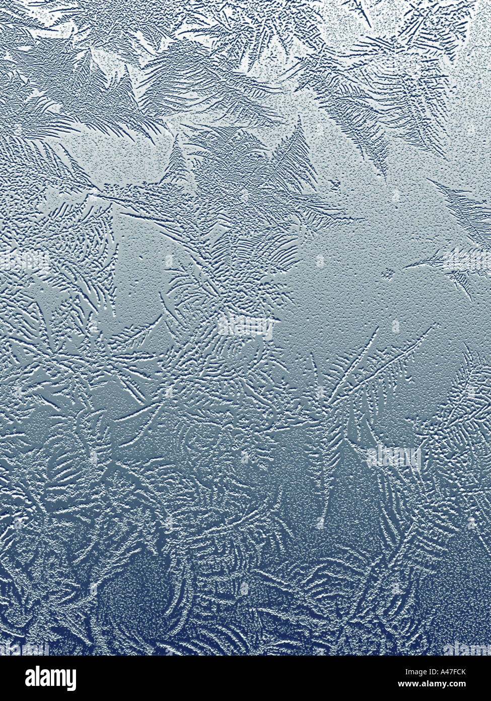 ice ferns, frostwork Stock Photo - Alamy