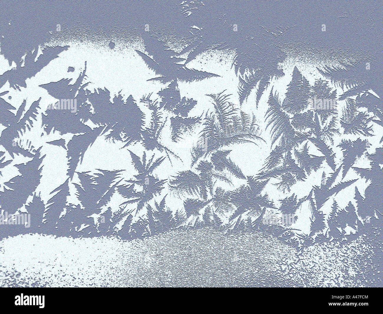ice ferns, frostwork Stock Photo - Alamy