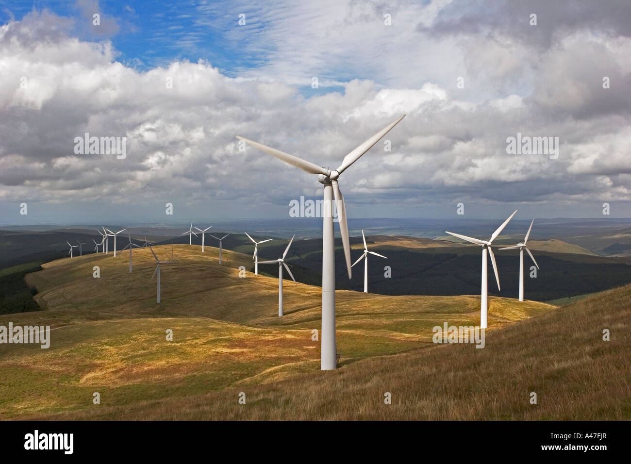 Wind Power Turbines at Windy Standard Wind Farm, above Carsphairn ...