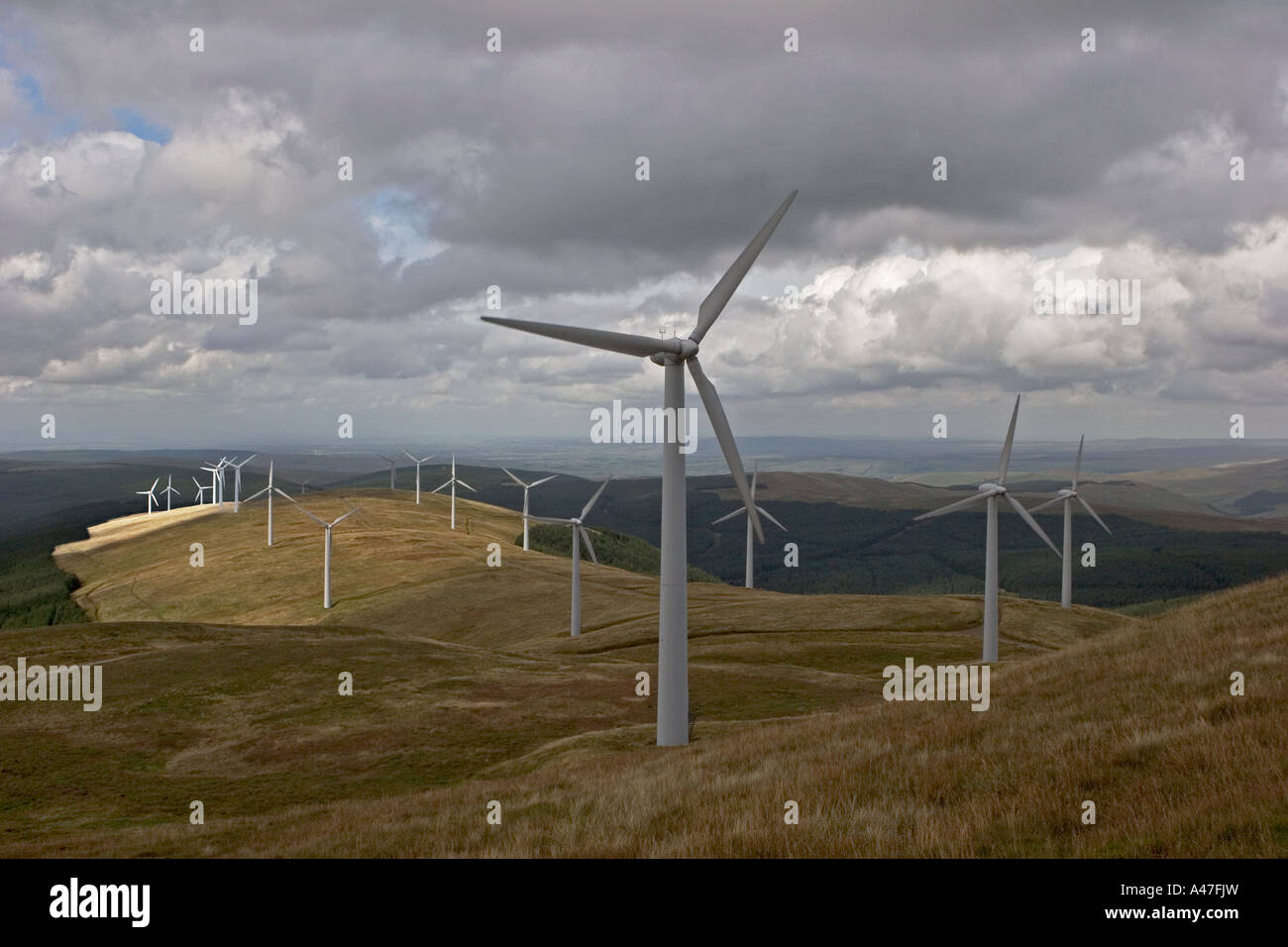 Wind Power Turbines at Windy Standard Wind Farm, above Carsphairn ...