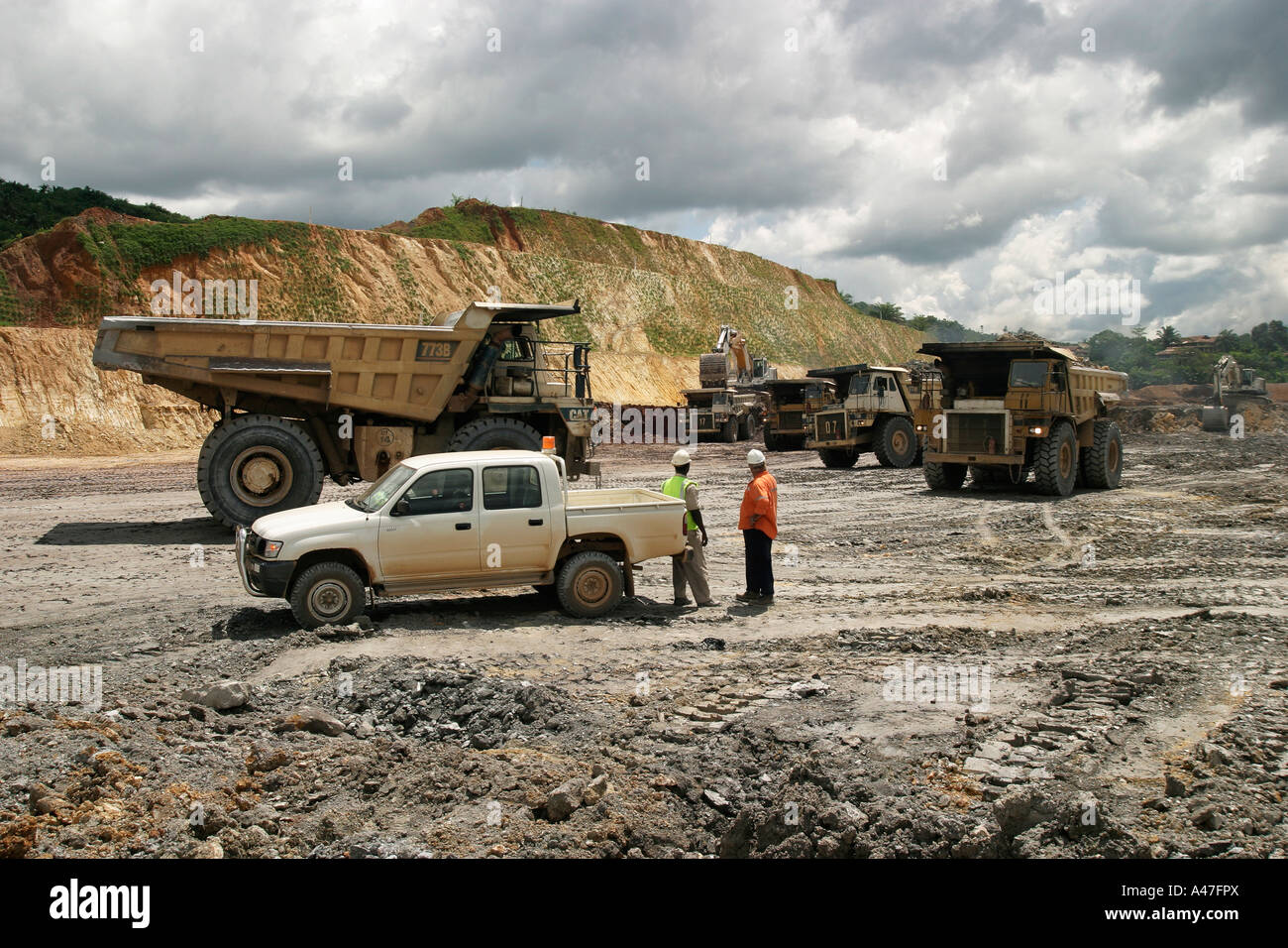Revegetated replanting benches care of environment hi-res stock ...