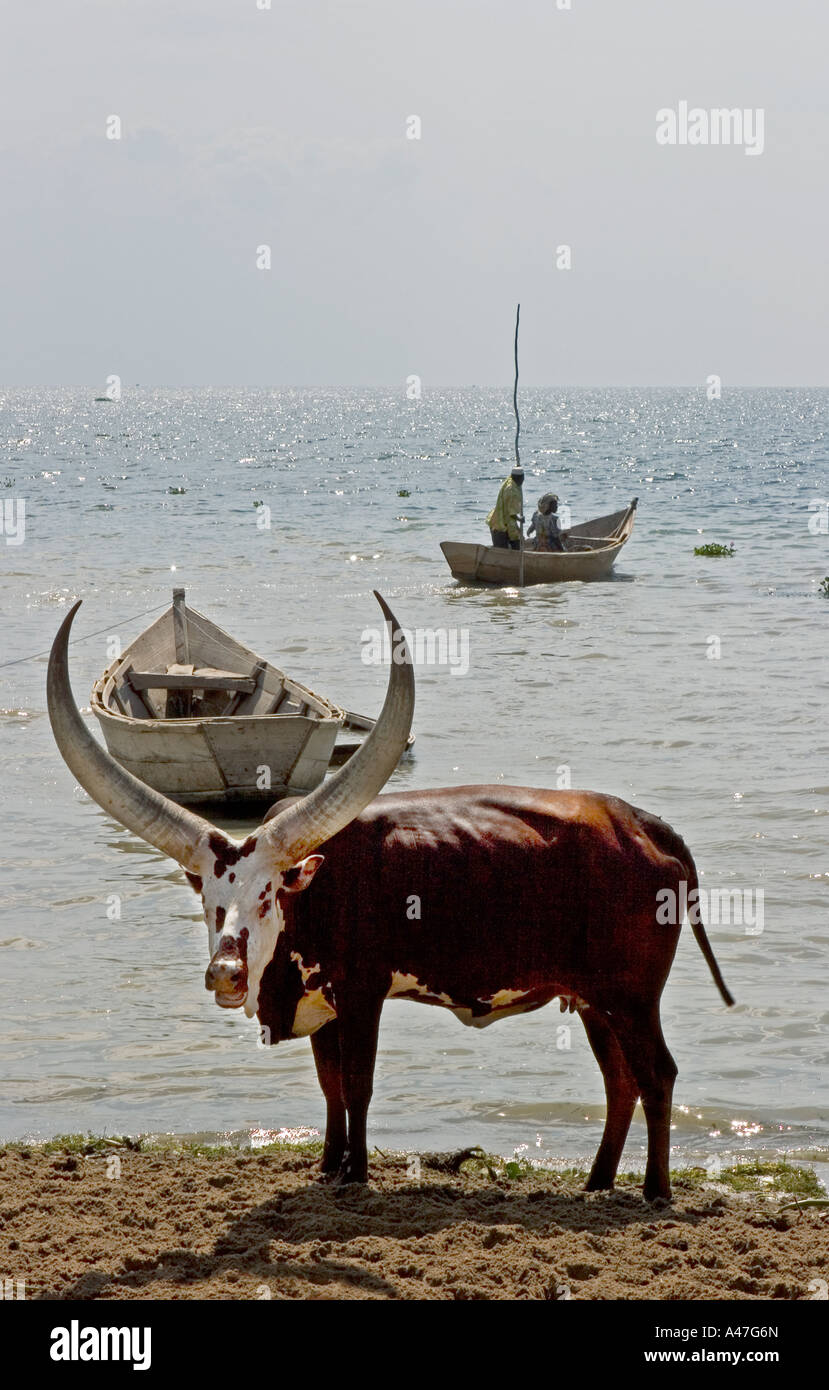 Rural uganda villages hi-res stock photography and images - Alamy