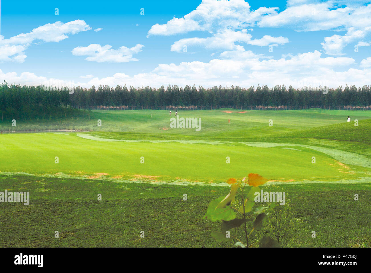 Golf Links and Course Stock Photo - Alamy