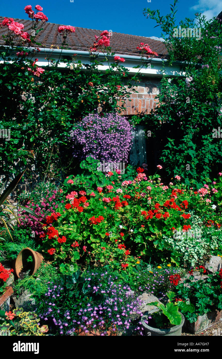 Bed of flowers Stock Photo - Alamy