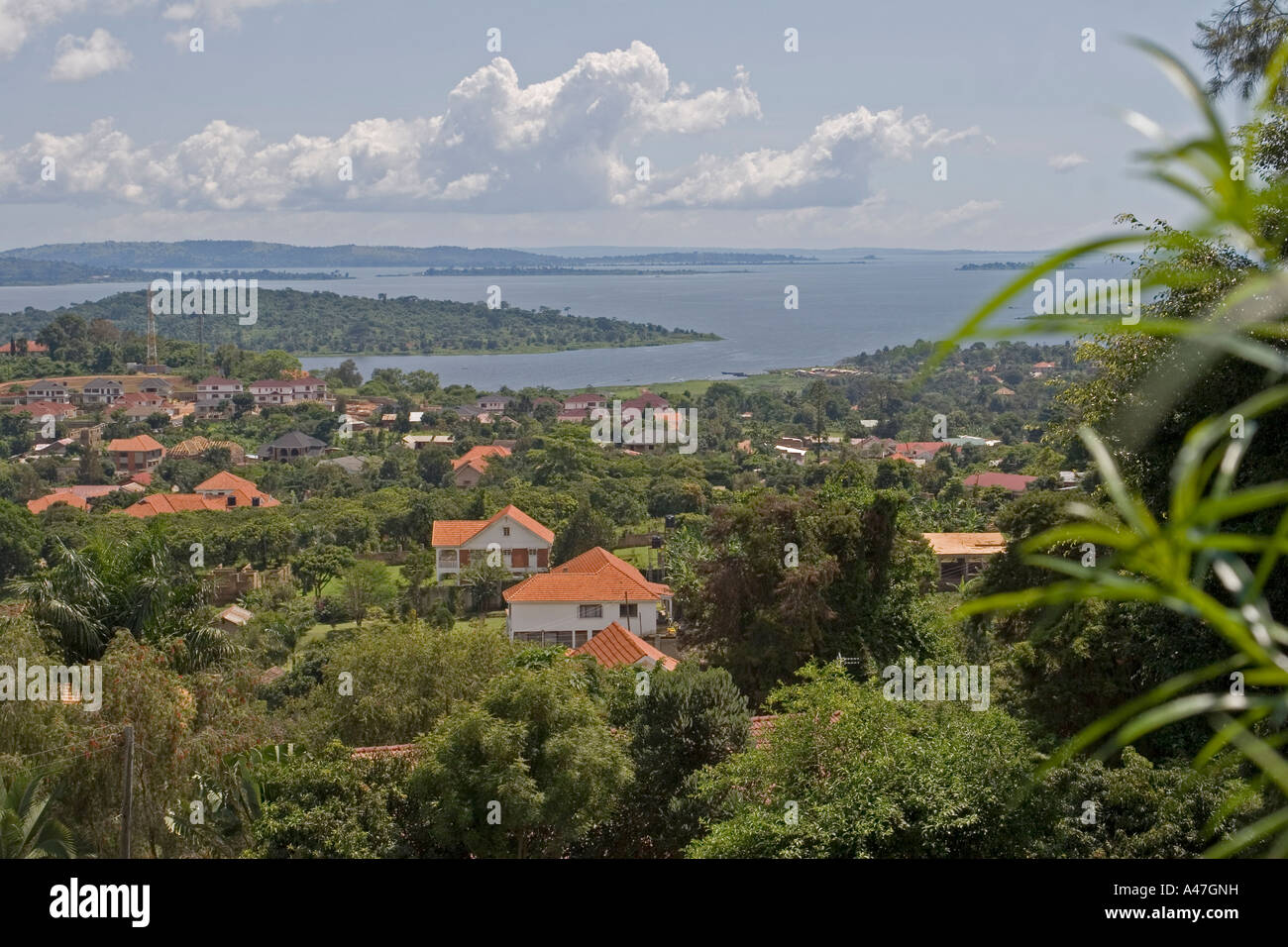 Kololo hi-res stock photography and images - Alamy