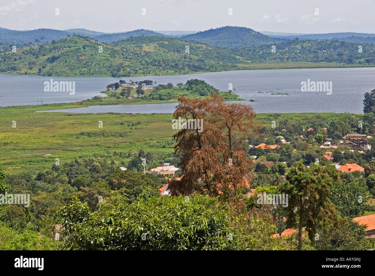 Lake Victoria Kampala Uganda