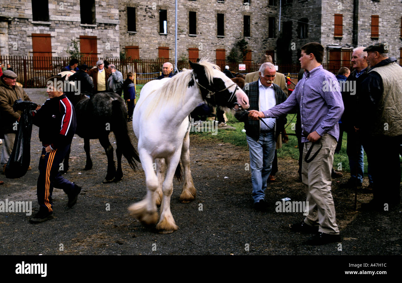 dublin horse market selling buying horses smithfield Stock Photo - Alamy