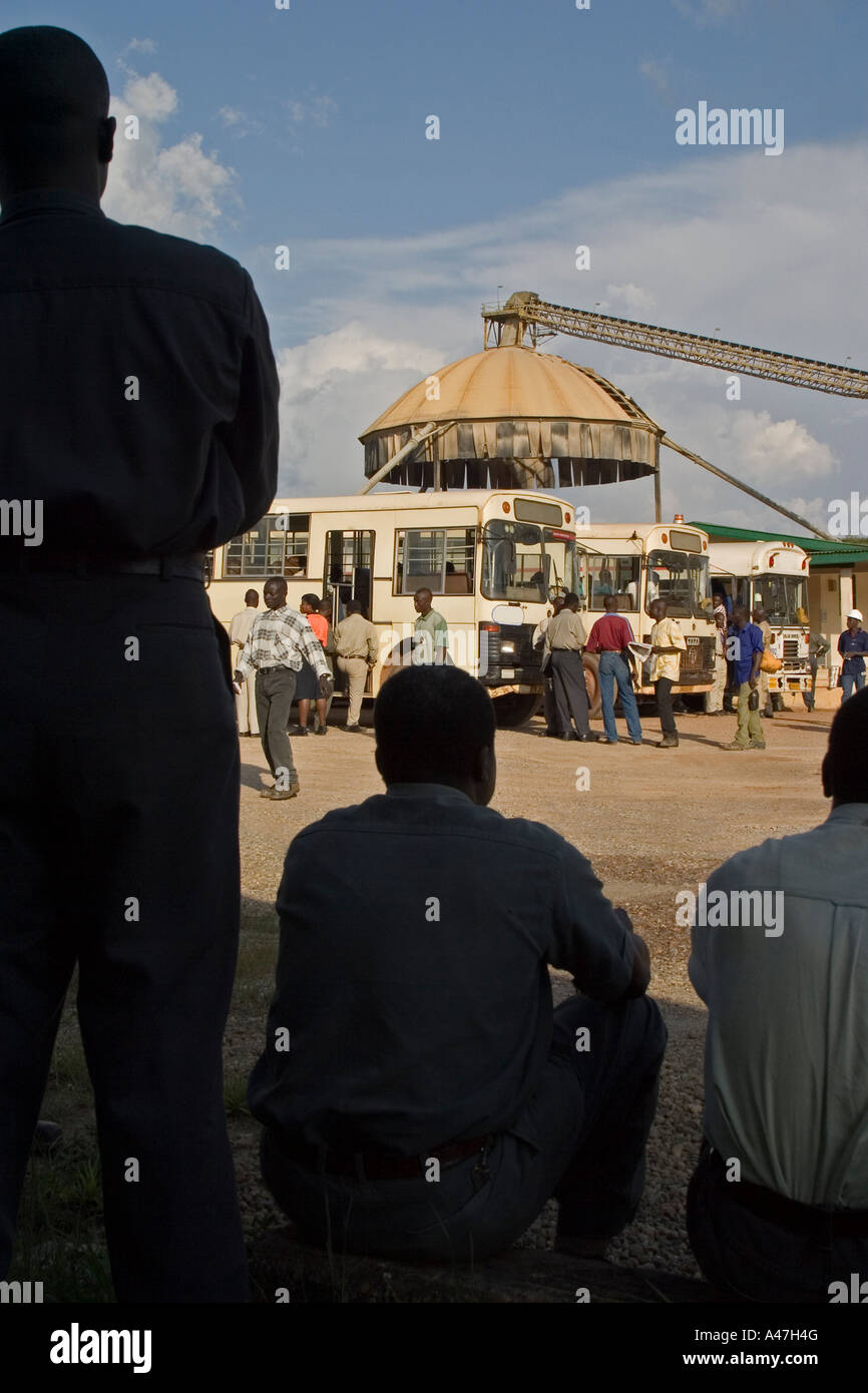 Afternoon shift change. Miners leaving work on buses at Gold mine ...
