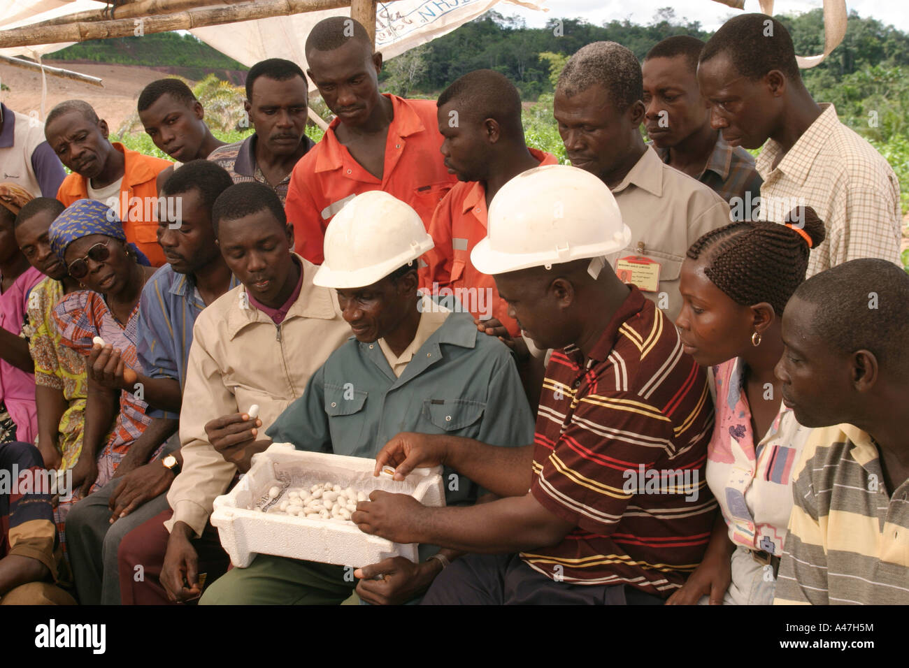 Introducing cooperative farmers to silk worm farming, an alternative ...