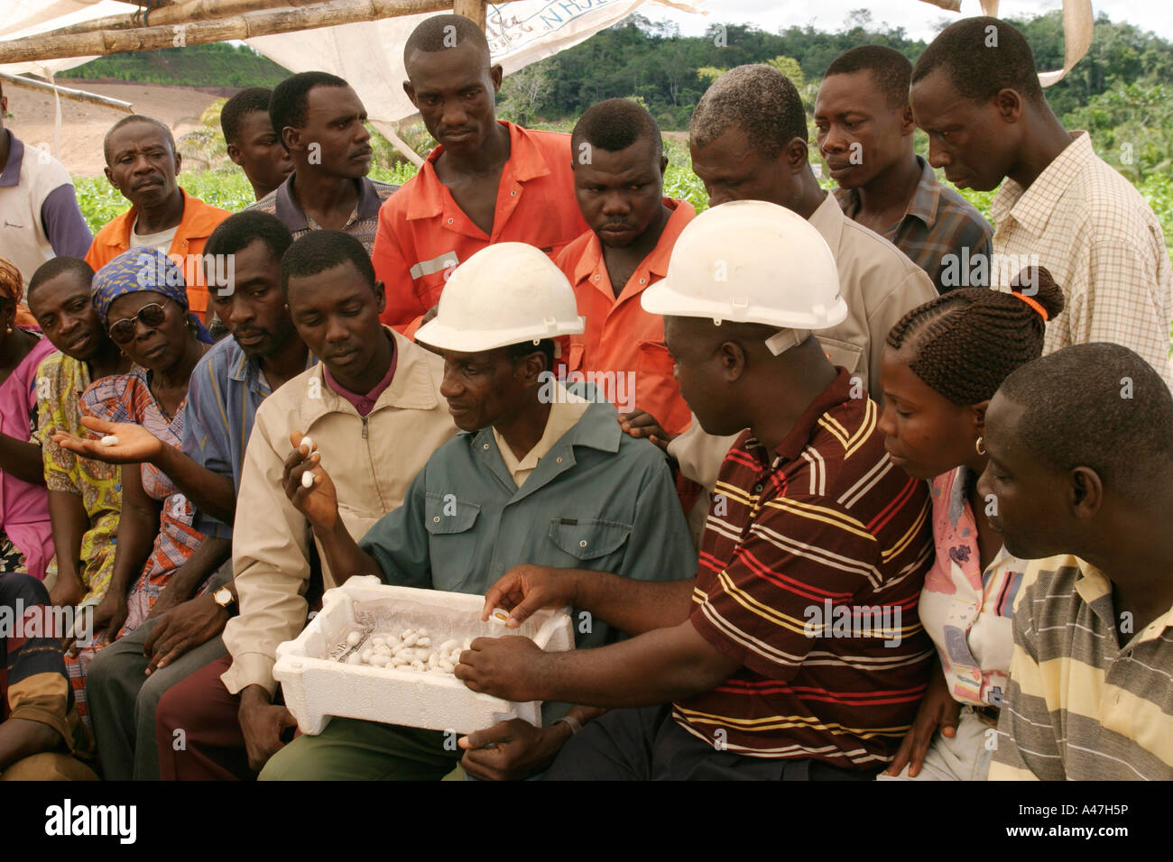 Introducing cooperative farmers to silk worm farming, an alternative ...