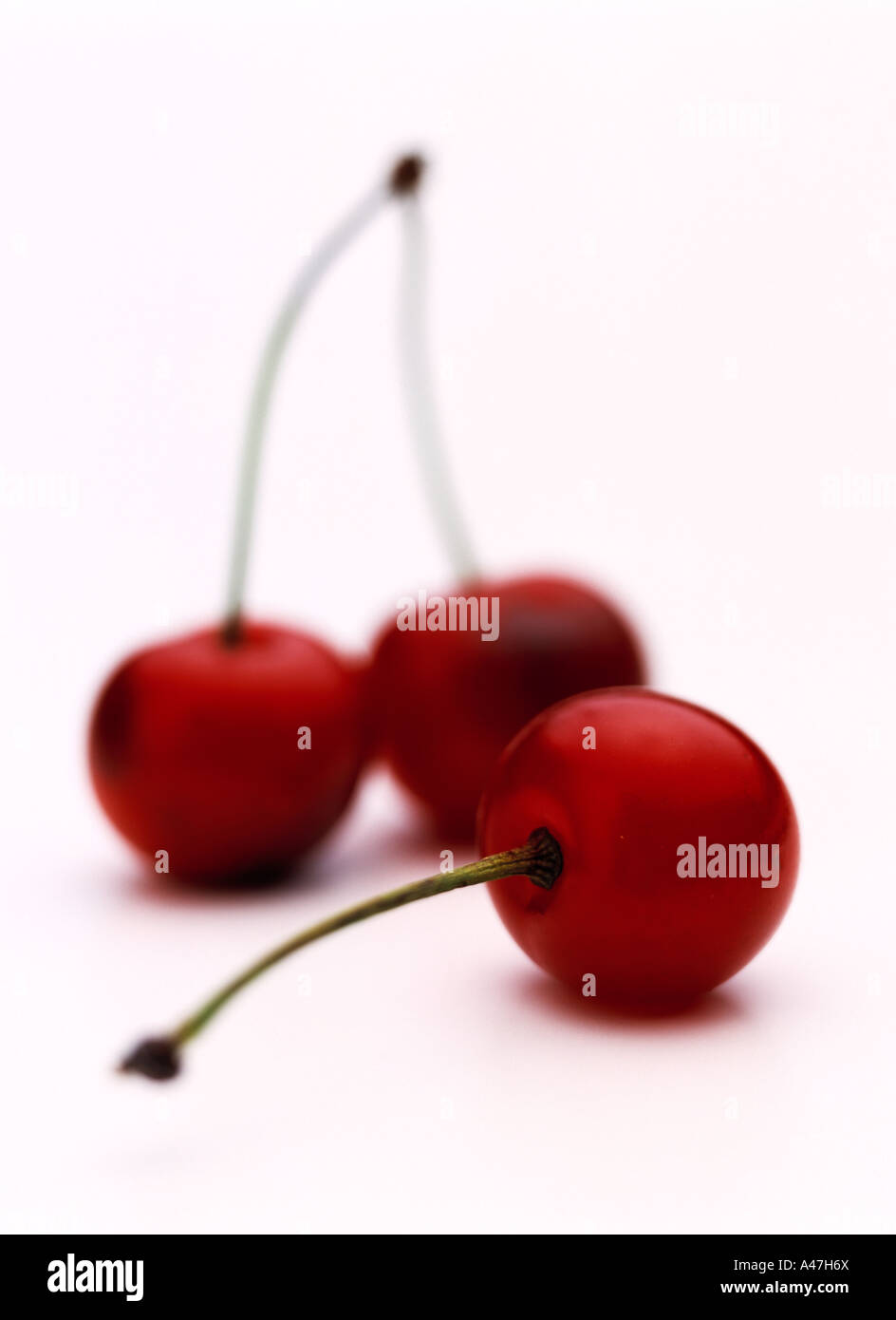 A graphic image of three cherries on a white background editorial food ...