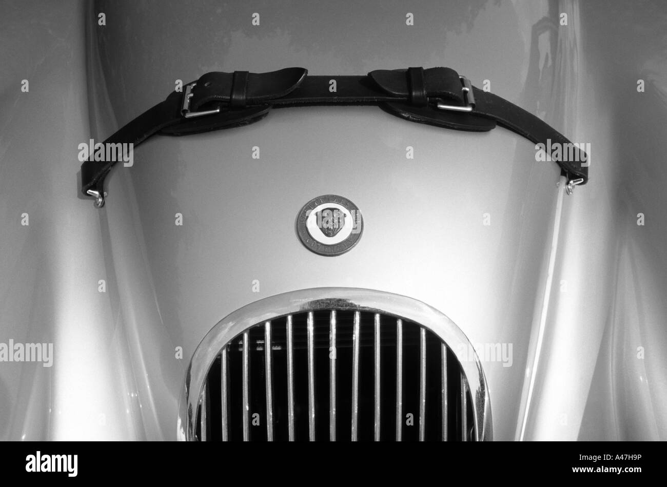 Leather bonnet strap hi-res stock photography and images - Alamy